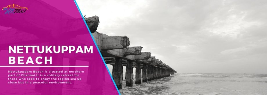 Top 10 Beaches in Chennai » Bharat Taxi Blog